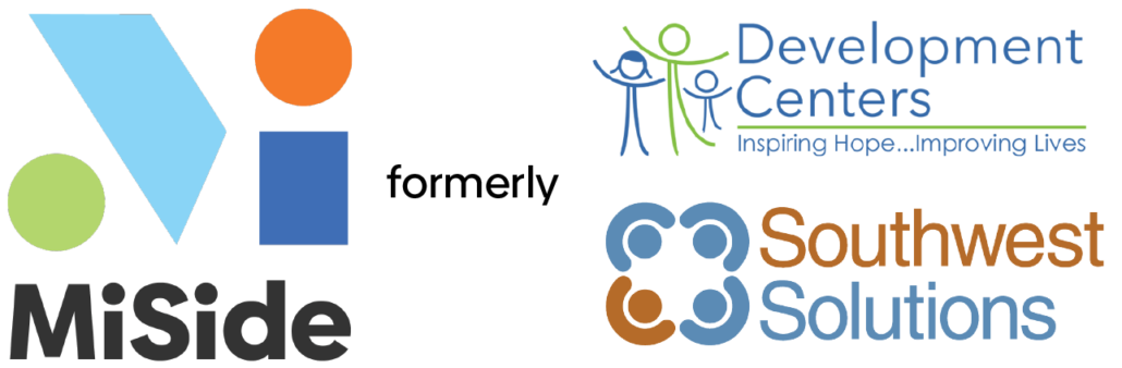 Social Services in Detroit Area - Development Centers