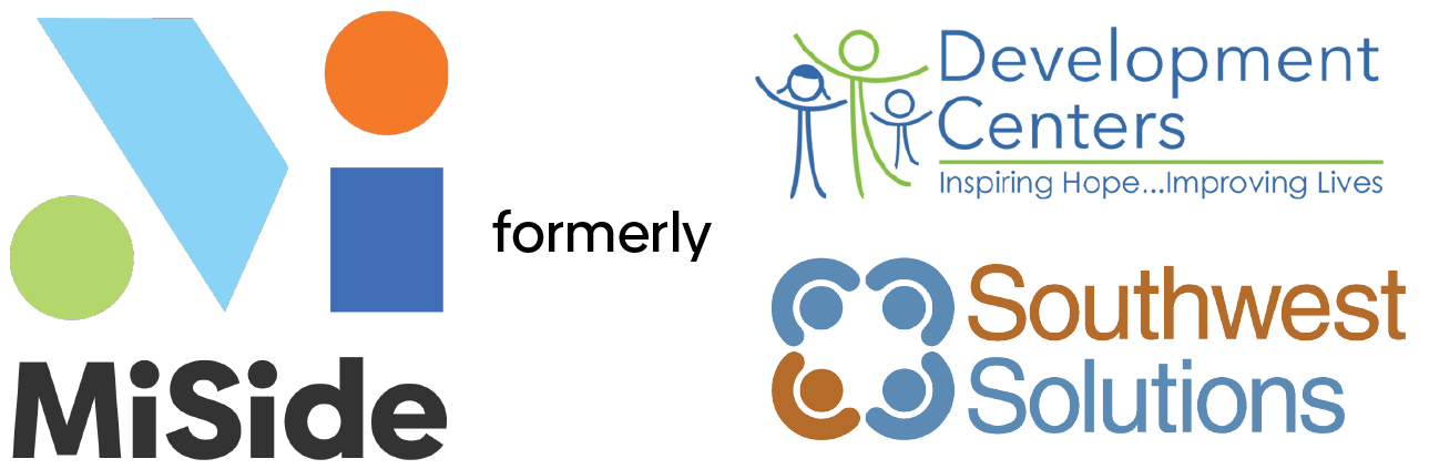 Mental Health Services in Detroit - Development Centers